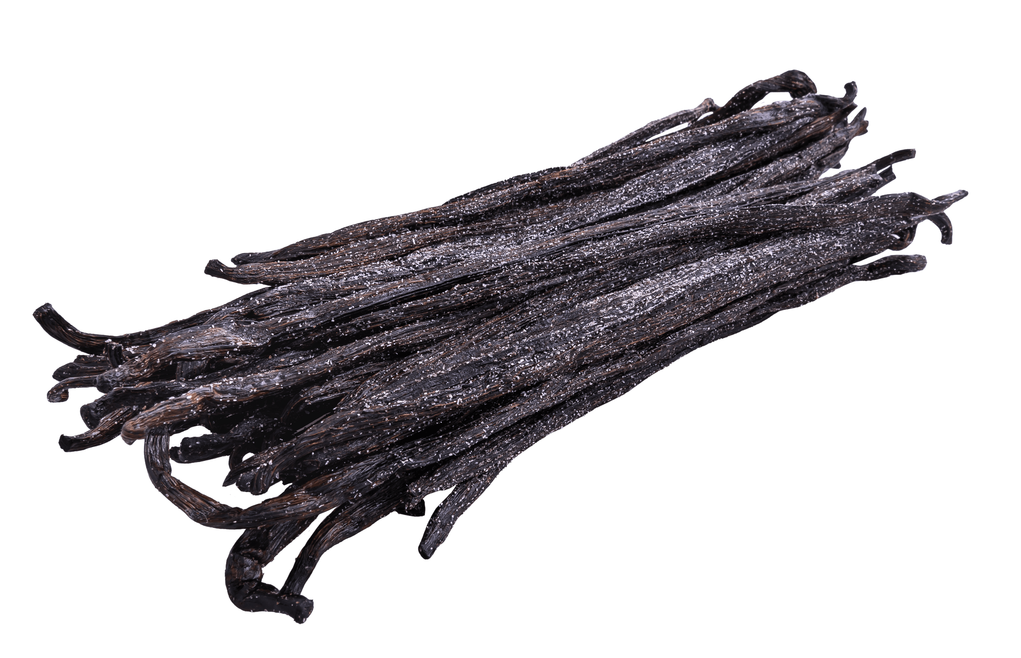 Ecuadorian Vanilla Beans - Grade A– Stavoren Trading Co.